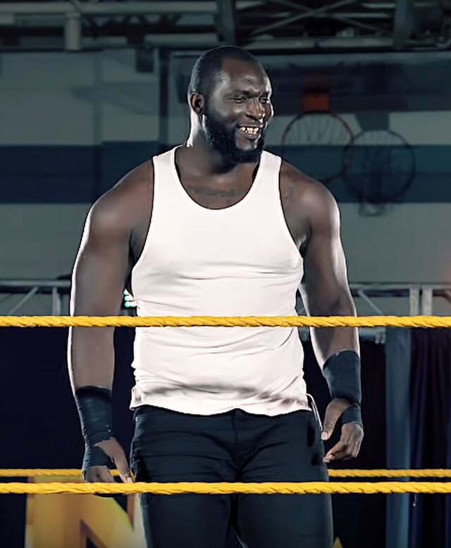 Pro Wrestling Africa — Building Champions Across 22+ African Nations